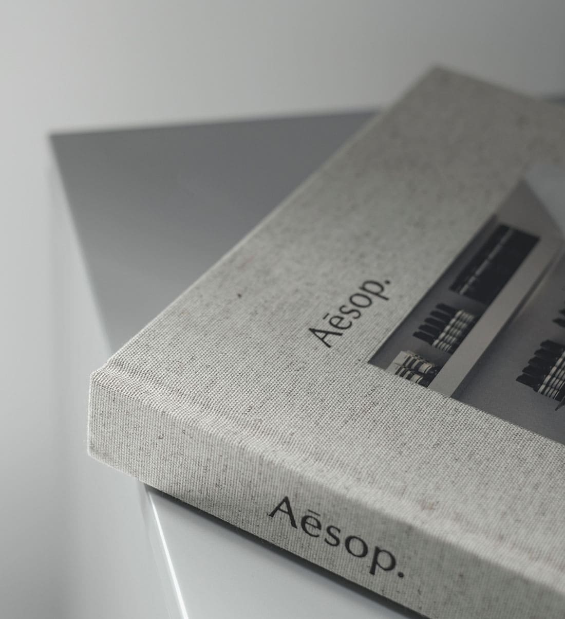 The Silent Observer - Beauregard